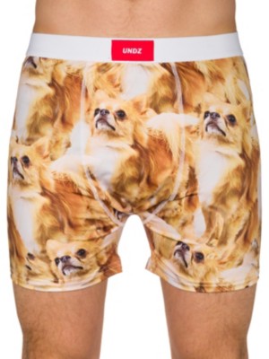 Ondergoed online shop voor Mannen – blue-tomato.com